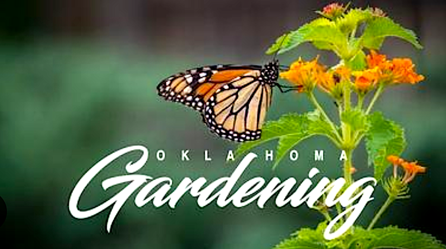 OETA’s “Oklahoma Gardening” begins new season on Feb. 11 | News ...