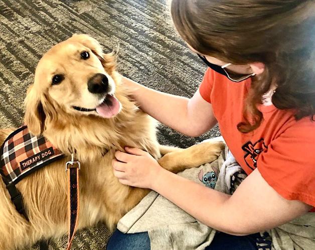 Research shows pets play vital role in mental wellbeing | Education ...
