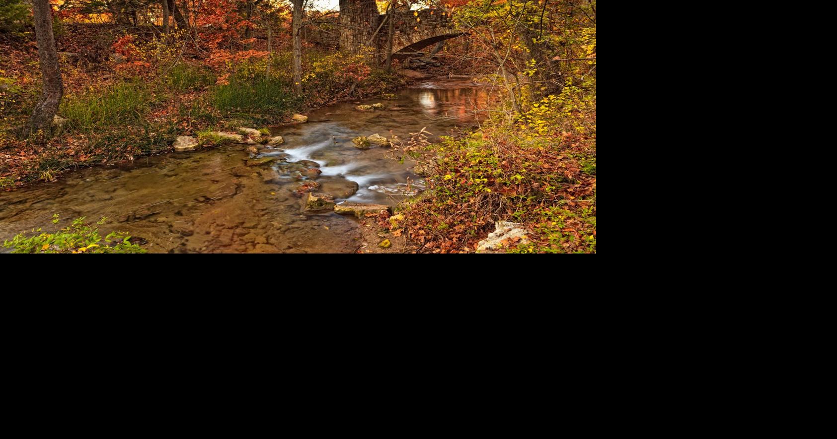 Top places to see fall foliage in Oklahoma | Arts & Entertainment ...