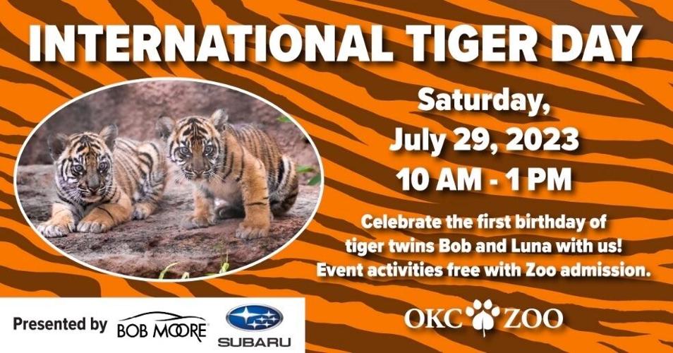 OKC Zoo hosts International Tiger Day activities on July 29 | Arts ...