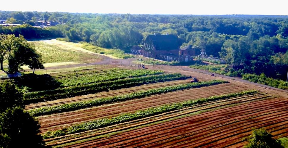 OSU Student Farm doubles acreage to serve Oklahoma food banks ...