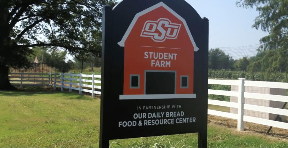 OSU Student Farm doubles acreage to serve Oklahoma food banks ...