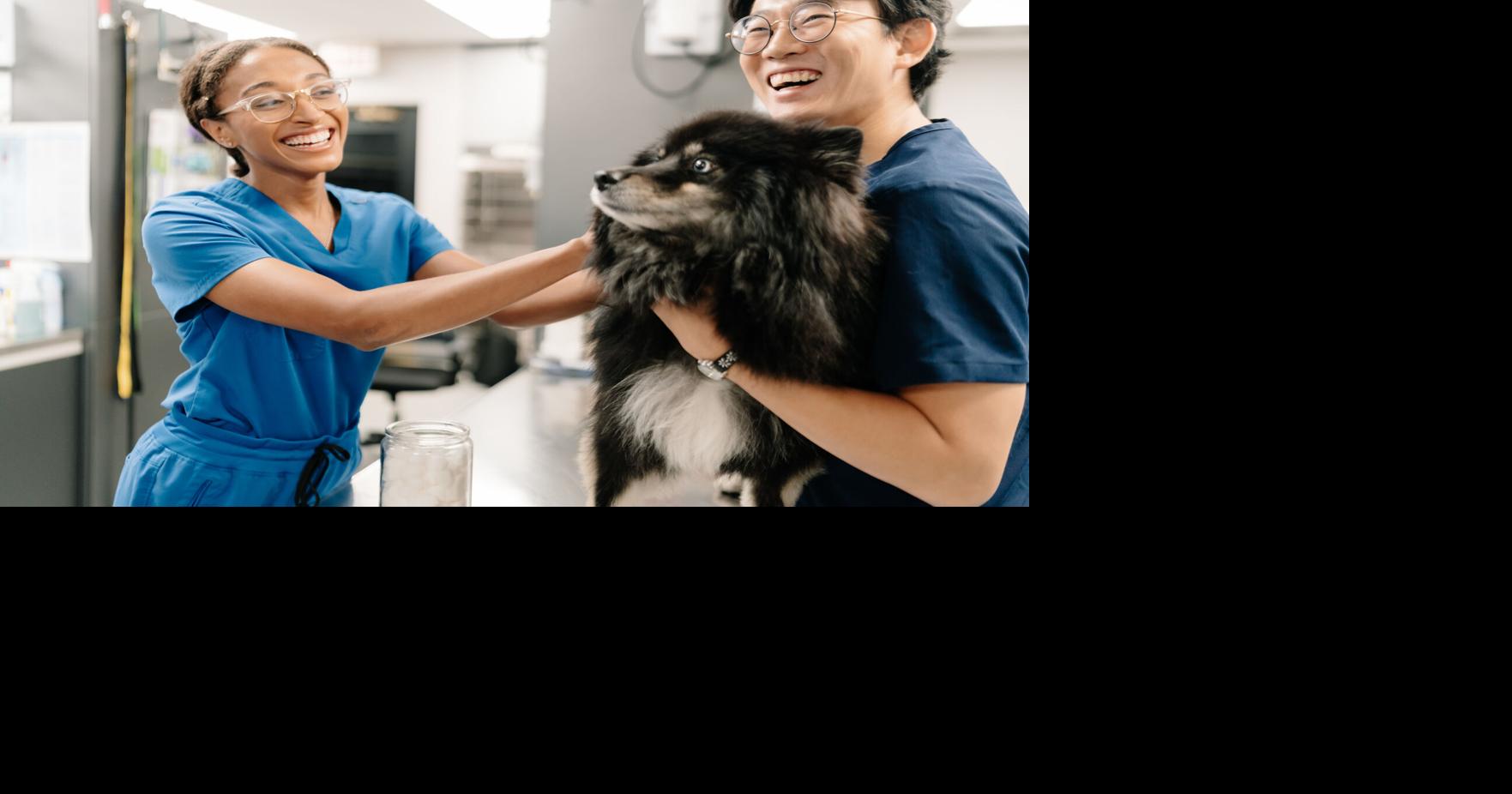 National veterinary care, GoodVets, coming to Phoenix | Business ...