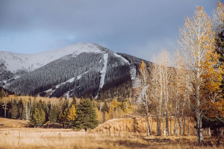 Explore the colors of fall: Five Flagstaff hikes | Things To Do ...