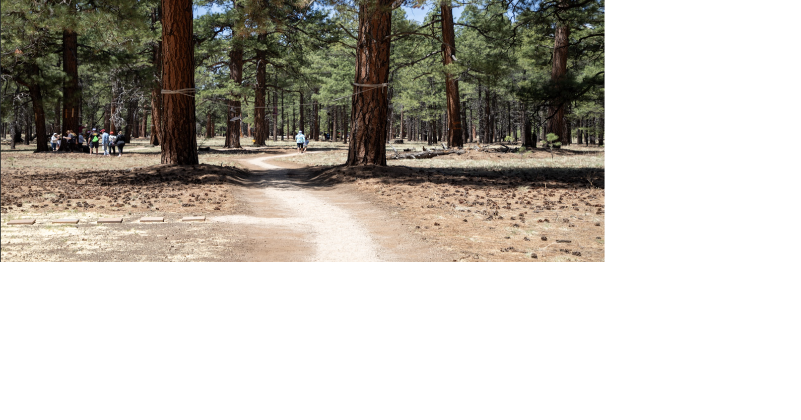 Flagstaff: History, adventure, and nature in one weekend | Featured ...
