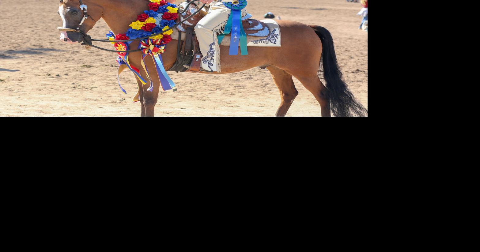 Scottsdale Arabian Horse Show Celebrates 70th Anniversary with World's ...