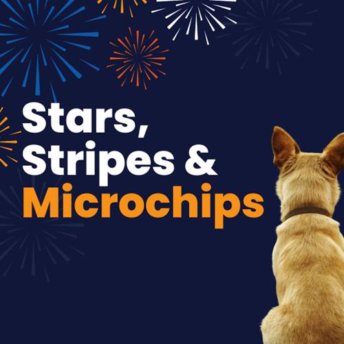 Pet owners can receive a $4 microchip with county's 'Stars, Stripes ...