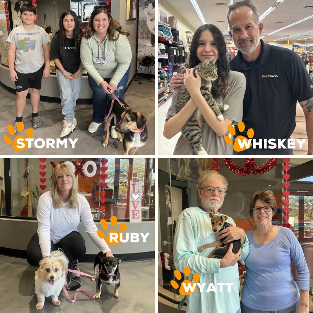 Foothills Animal Rescue celebrates 30 years of saving pets | Community ...