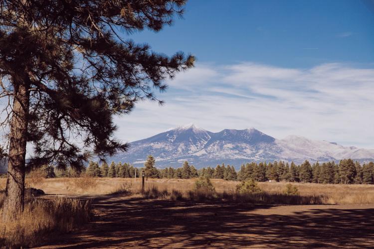 Explore the colors of fall: Five Flagstaff hikes | Things to Do ...