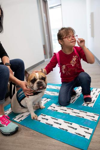 Scottsdale Bierman Autism Center brings farm-tastic day full of ...