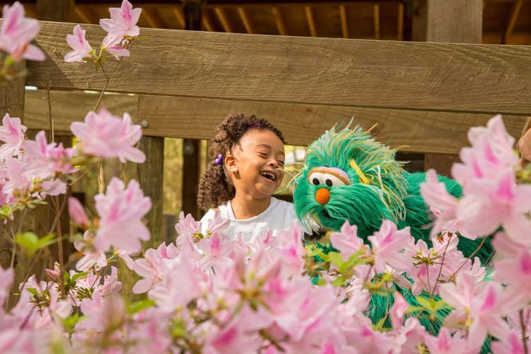 Helping Children Become More Resilient: Sesame Workshop Expands ...