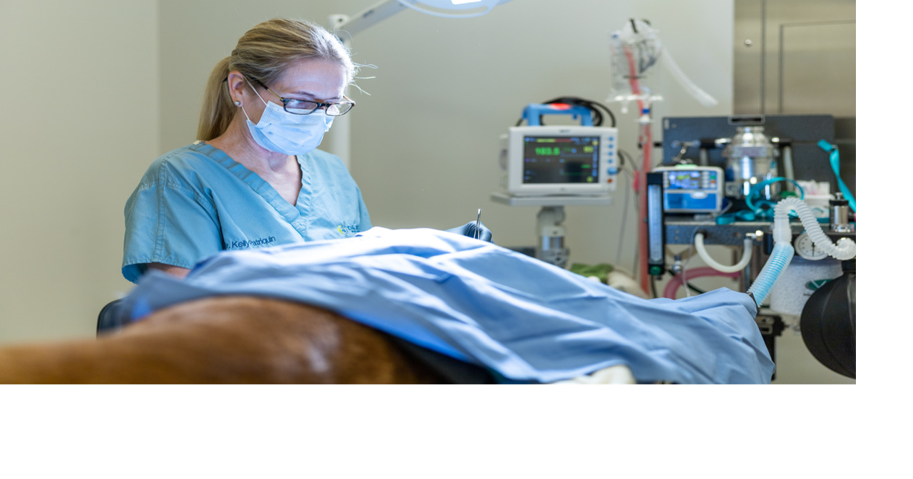 Dr. Kelly's Surgical Unit announces expansion to Queen Creek | Business ...