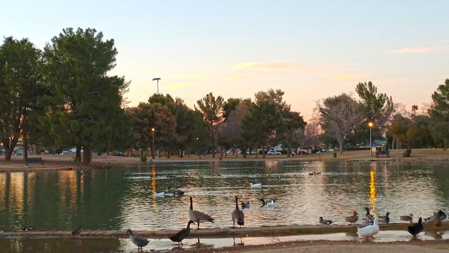 Explore Roadrunner Park | | citysuntimes.com