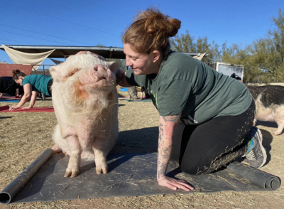 Better Piggies Rescue hosts Valentine’s events | Community ...
