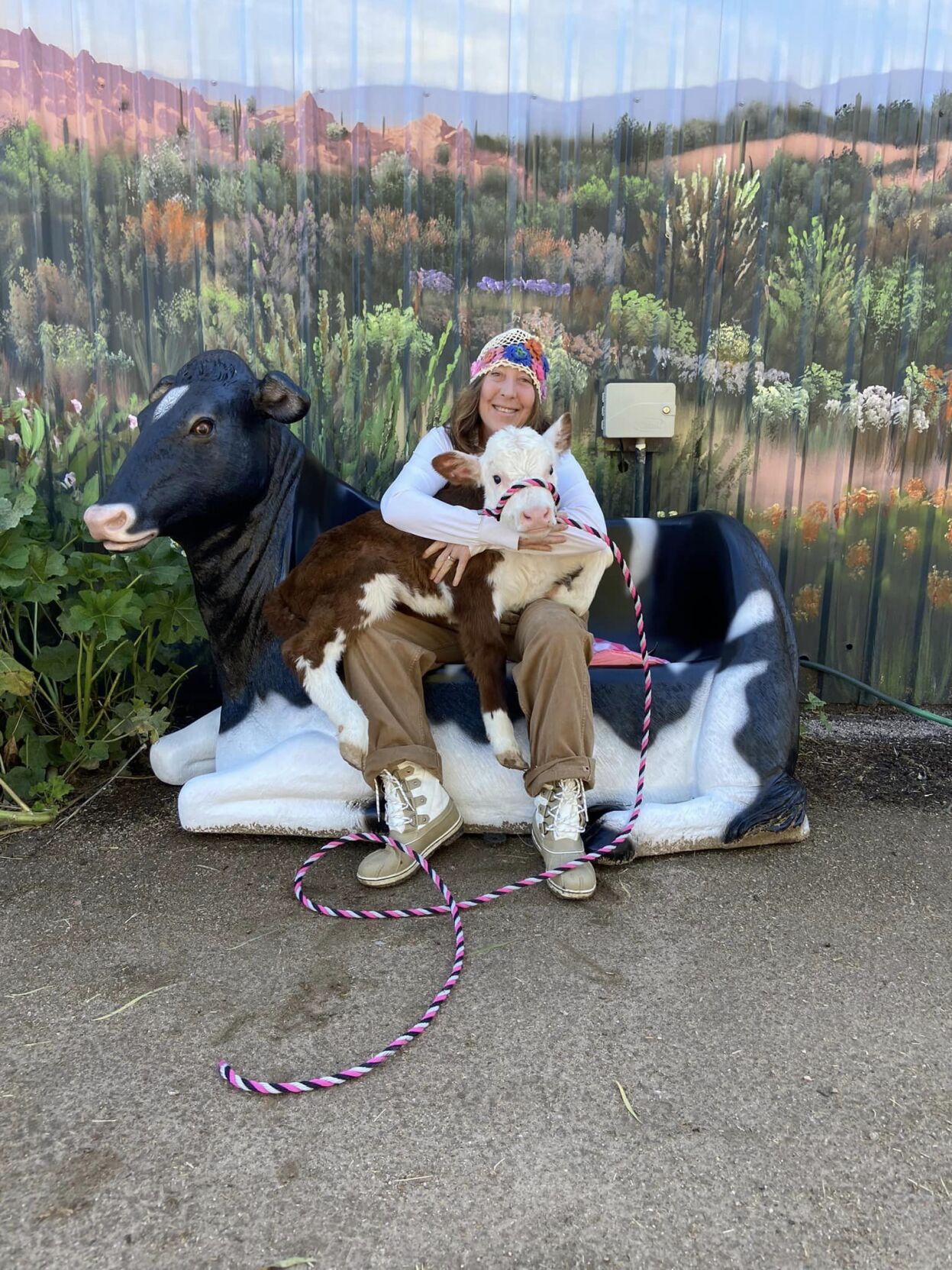 pain into purpose: heart of Aimee’s Farm Animal Sanctuary ...