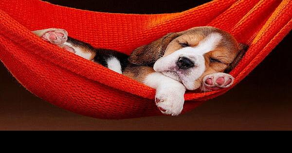 Mom, Interrupted: An exploding cigar for Christmas | Local News ...