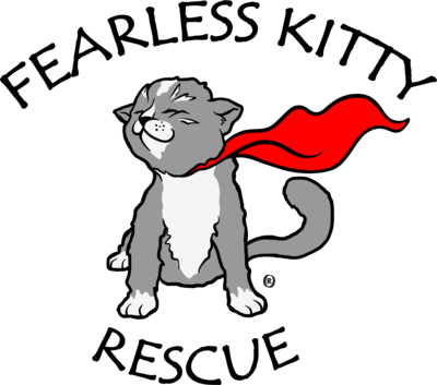 Fearless Kitty Rescue plans June 7 open house | Local News ...