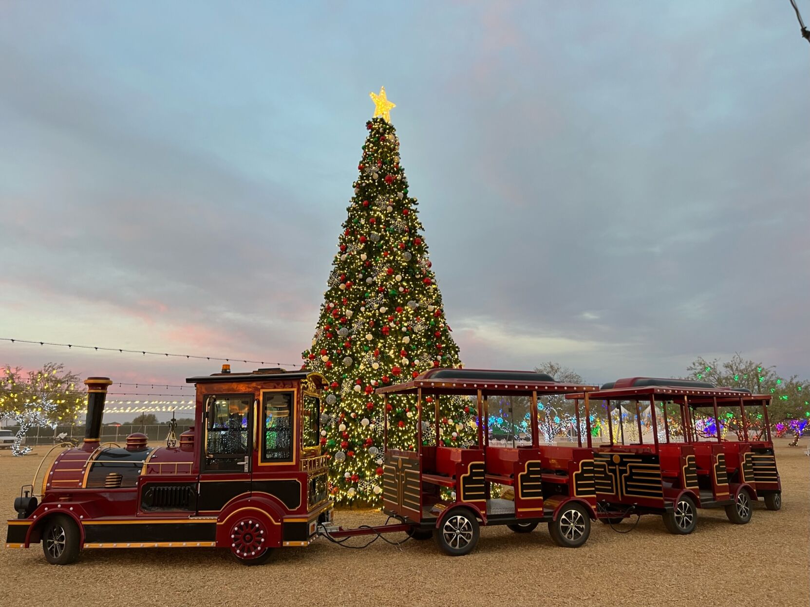 Desert Farm Lights: a must-visit festive destination this holiday ...