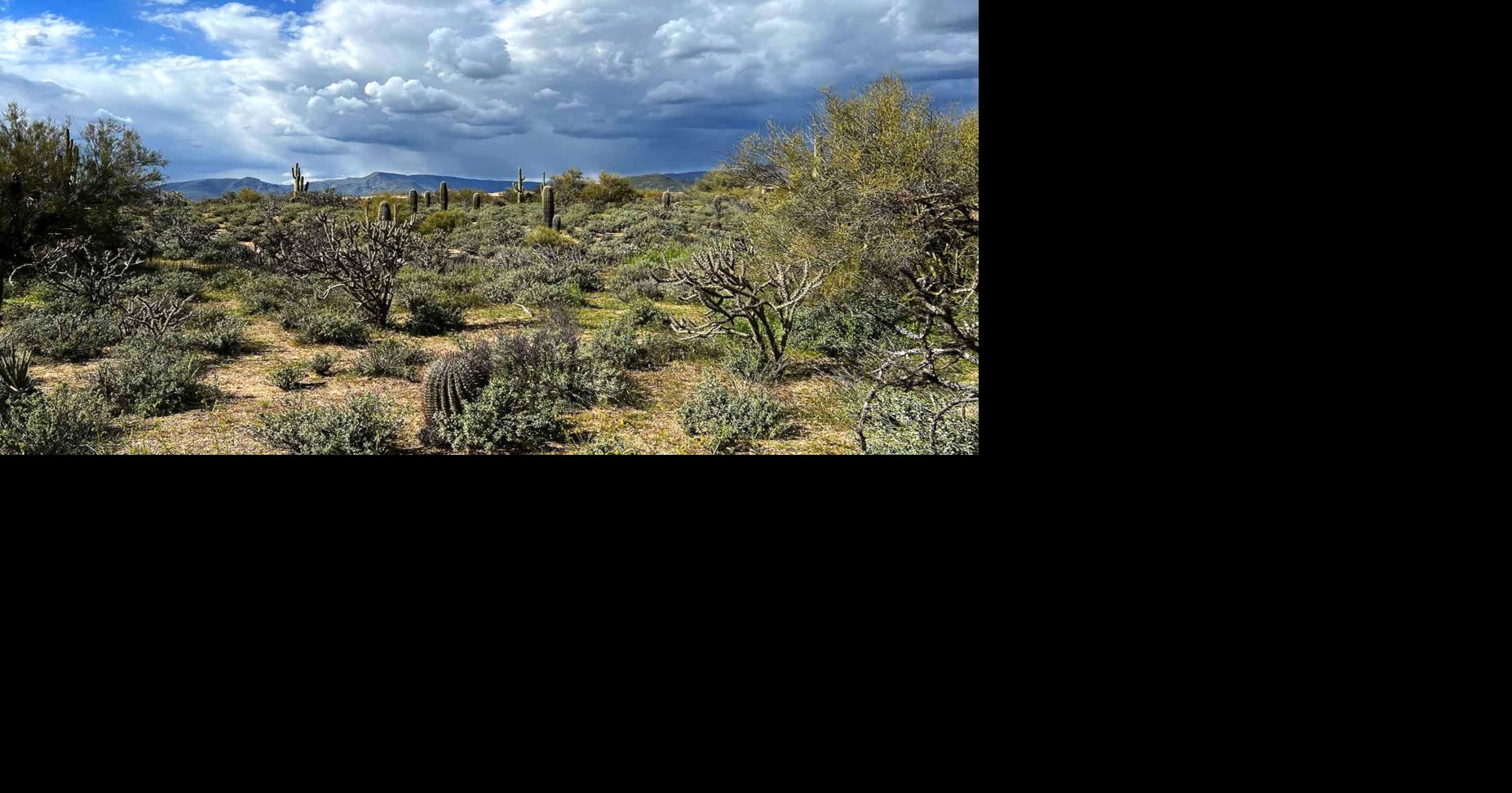 Residents aim to protect 48-parcel of natural Sonoran Desert land by ...
