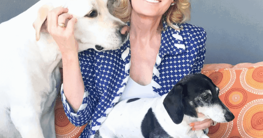 New hope for furry friends everywhere: Carefree veterinarian recognizes ...