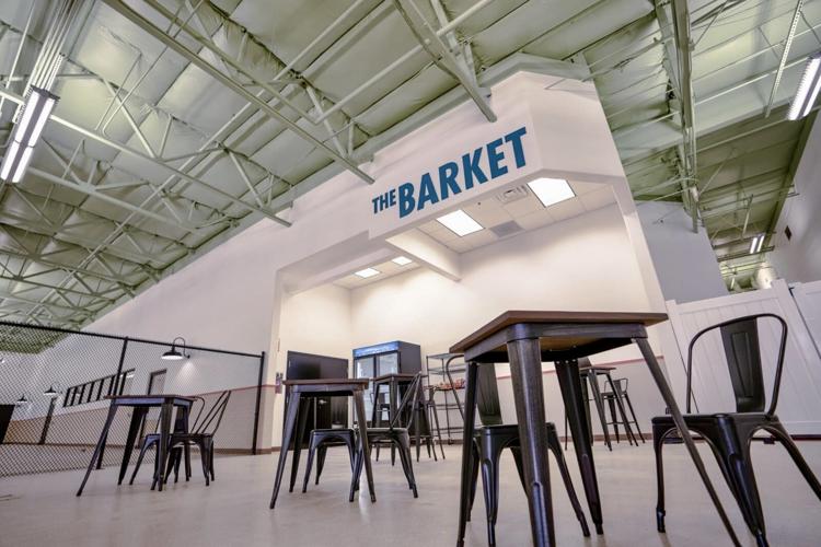 Mak Pack: Arizona's first indoor dog park opens in Chandler | Local ...