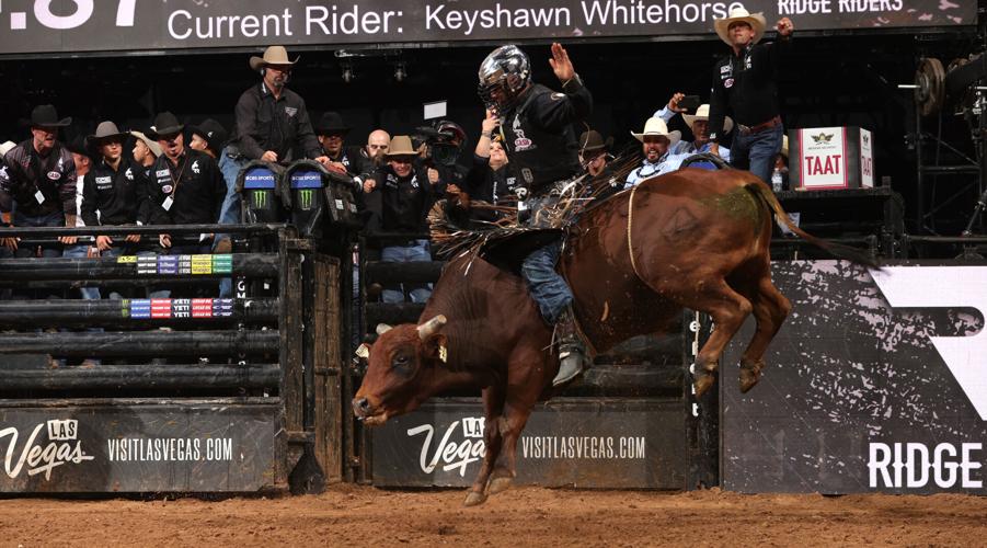 Arizona's professional bull riders team kicks off season at Roadrunner ...