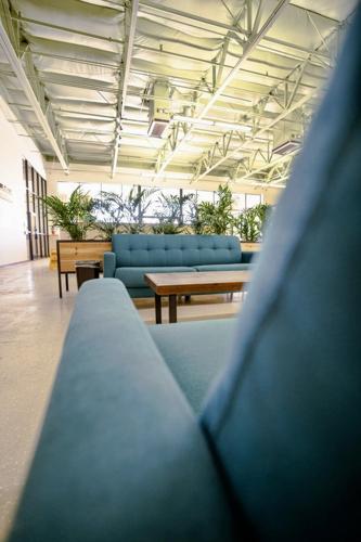 Mak Pack: Arizona's first indoor dog park opens in Chandler | Local ...