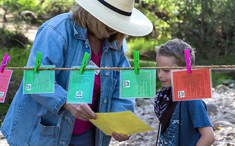 Discover the wonders of the Sonoran Desert at Desert Discovery Day Nov ...