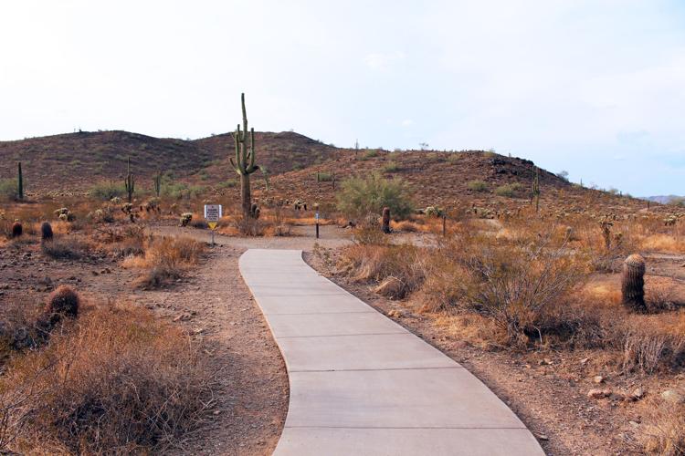 Find It In This ZIP: Get Outdoors in 85085 | Things To Do ...
