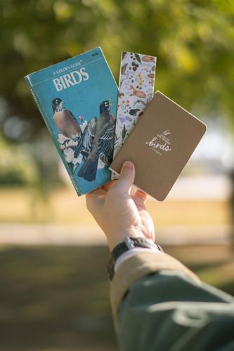 A love letter to nature: Inside The Little Wild Library | Featured ...