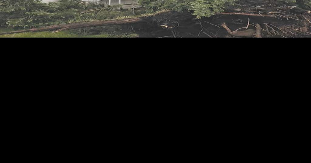 Wind creates toppling effect | News | clearwaterprogress.com