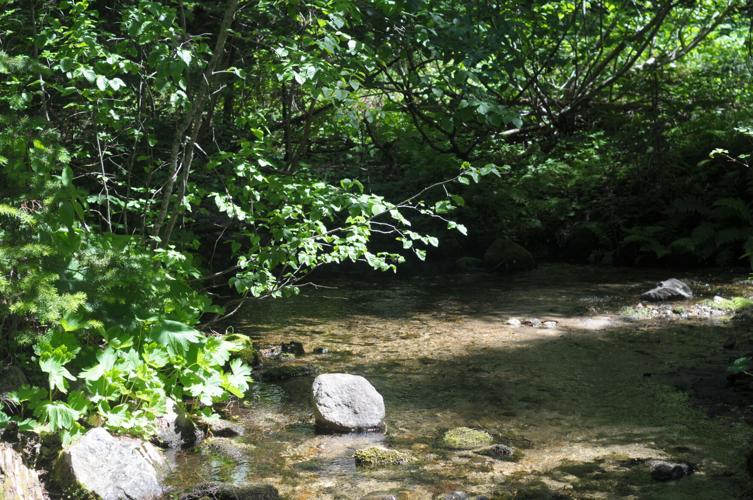 Rocky Bluff Campground Offers Beautiful Hike | Outdoors ...