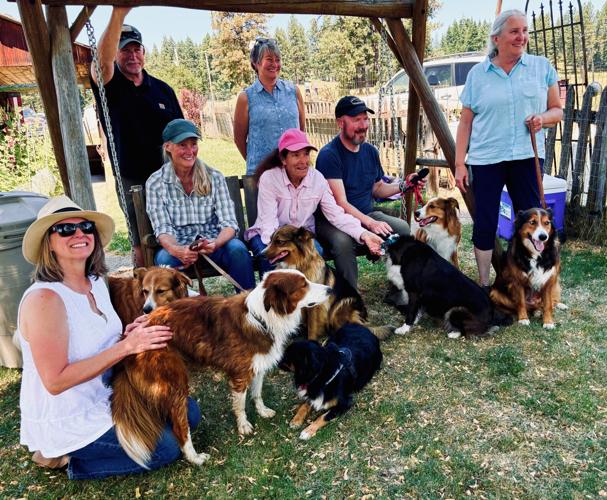 Dog Days Of Summer | News | clearwaterprogress.com