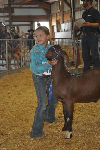 First Year For Edmonds | News | clearwaterprogress.com