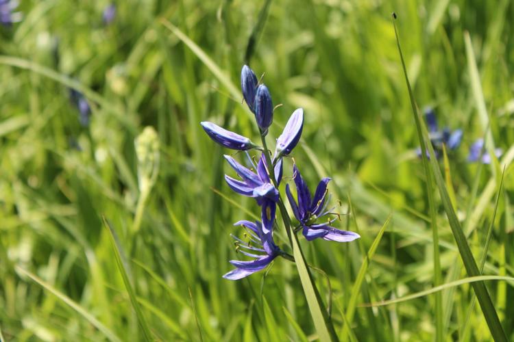 Naming ceremony, ‘one step to unite us’ | News | clearwaterprogress.com