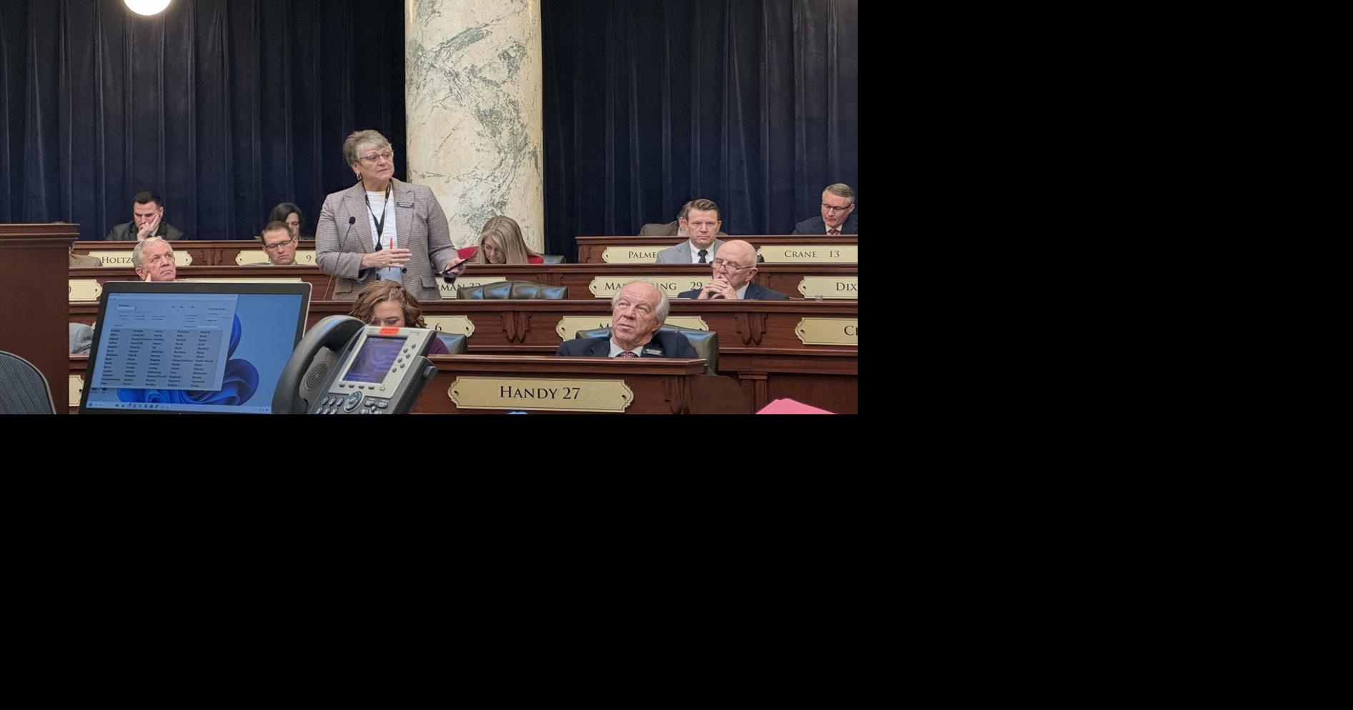 Bill allowing shelters to serve runaways heads to House; Dist. 6 Rep ...