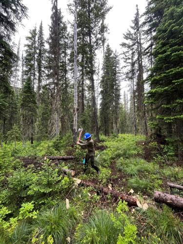 Valuable work and a meaningful experience - Wilderness Rangers: Working ...