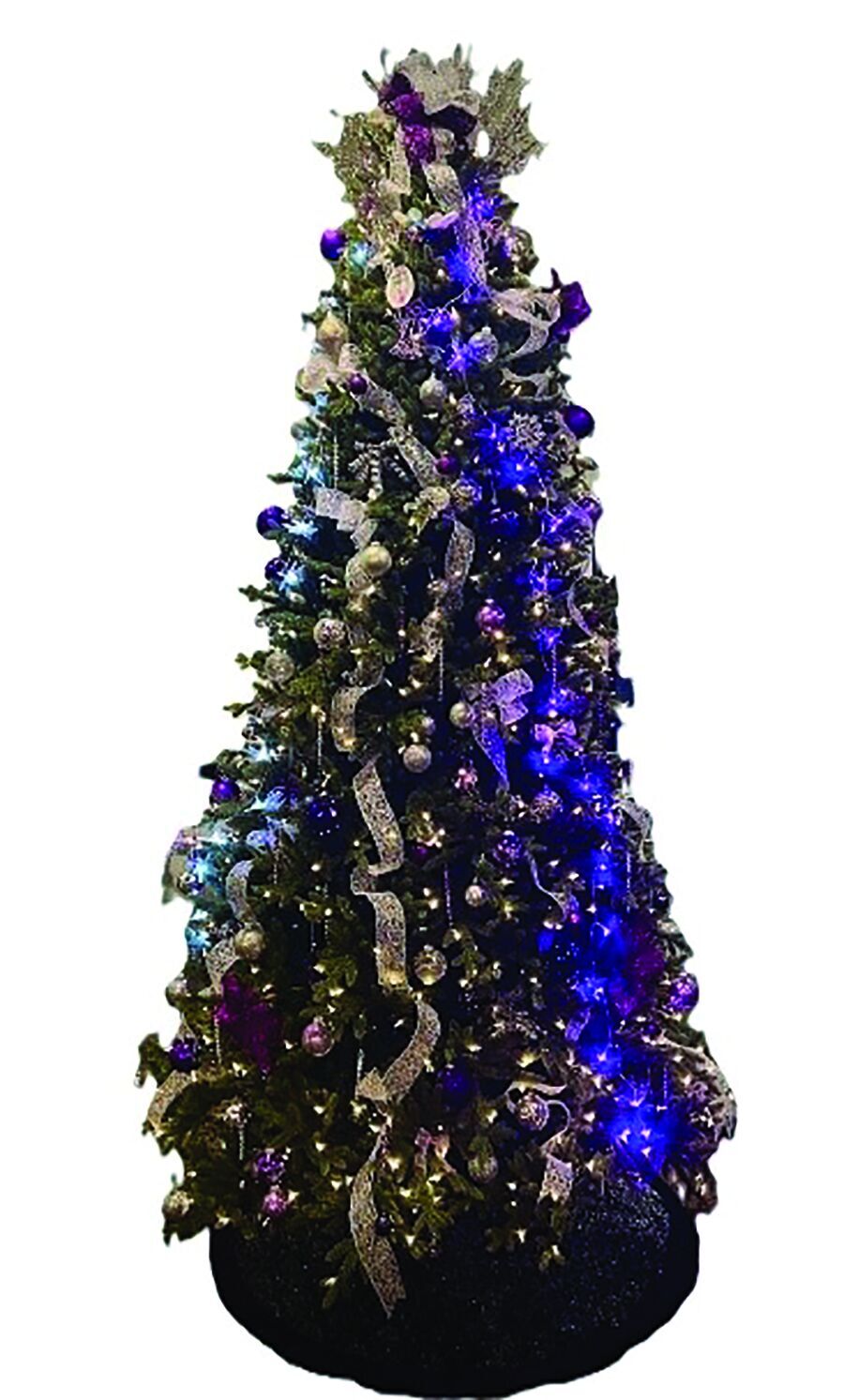 CVH Wishing Tree sign-up | Top Stories | clearwatertribune.com