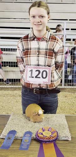 2022 Clearwater County 4-H Show & Livestock Auction | Top Stories ...