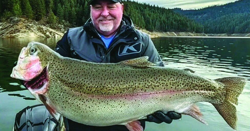Record-size rainbow trout caught at Dworshak Reservoir | Top Stories ...