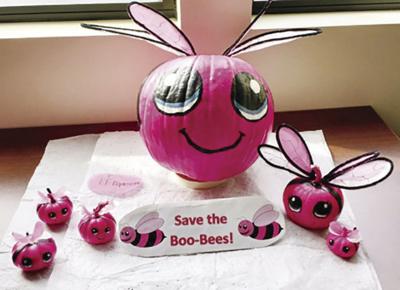 CVHC’s Pink Pumpkins for Hope to provide mammograms for local women ...