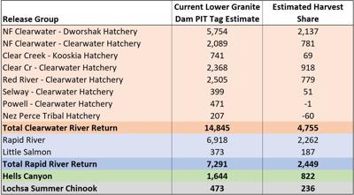 Spring Chinook Salmon Fishery update Clearwater River Return, Rapid ...