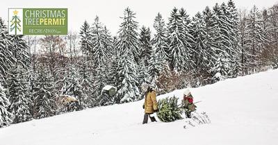 Christmas tree permits now available at Nez Perce-Clearwater National ...