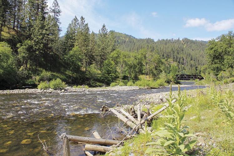 Lolo Creek success story | Top Stories | clearwatertribune.com