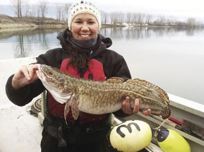 Burbot, A Conservation Success Story | Fish & Game | clearwatertribune.com