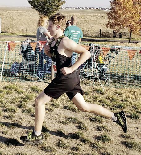District I/II 1A XC Meet | Sports | clearwatertribune.com