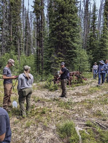 Local high school students work to enhance abandoned mine safety and ...