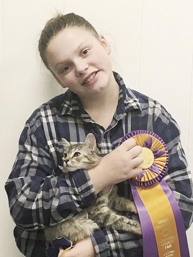 4-H Cat Show | School News | clearwatertribune.com