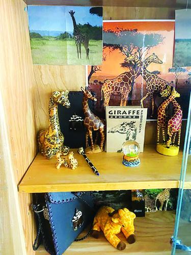 Clearwater Memorial Public Library | Community News | clearwatertribune.com