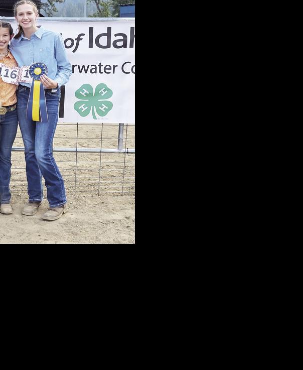 2022 Clearwater County 4-H Show & Livestock Auction | Top Stories ...